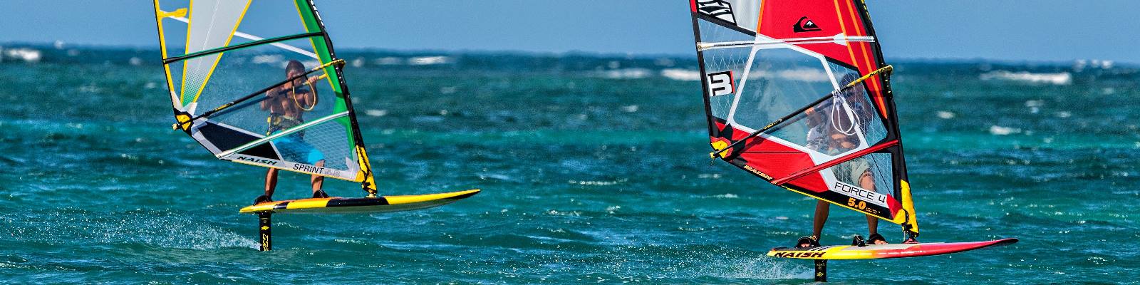 Windsurf Segel Shop - Große Auswahl an Marken-Sails ☀️🌊